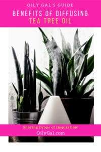 5 Benefits of Diffusing Tea Tree Oil with Essential Oil Diffuser Blend ...