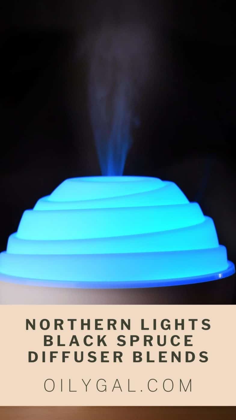Northern Lights Black Spruce Essential Oil Blends Well With - Oily Gal