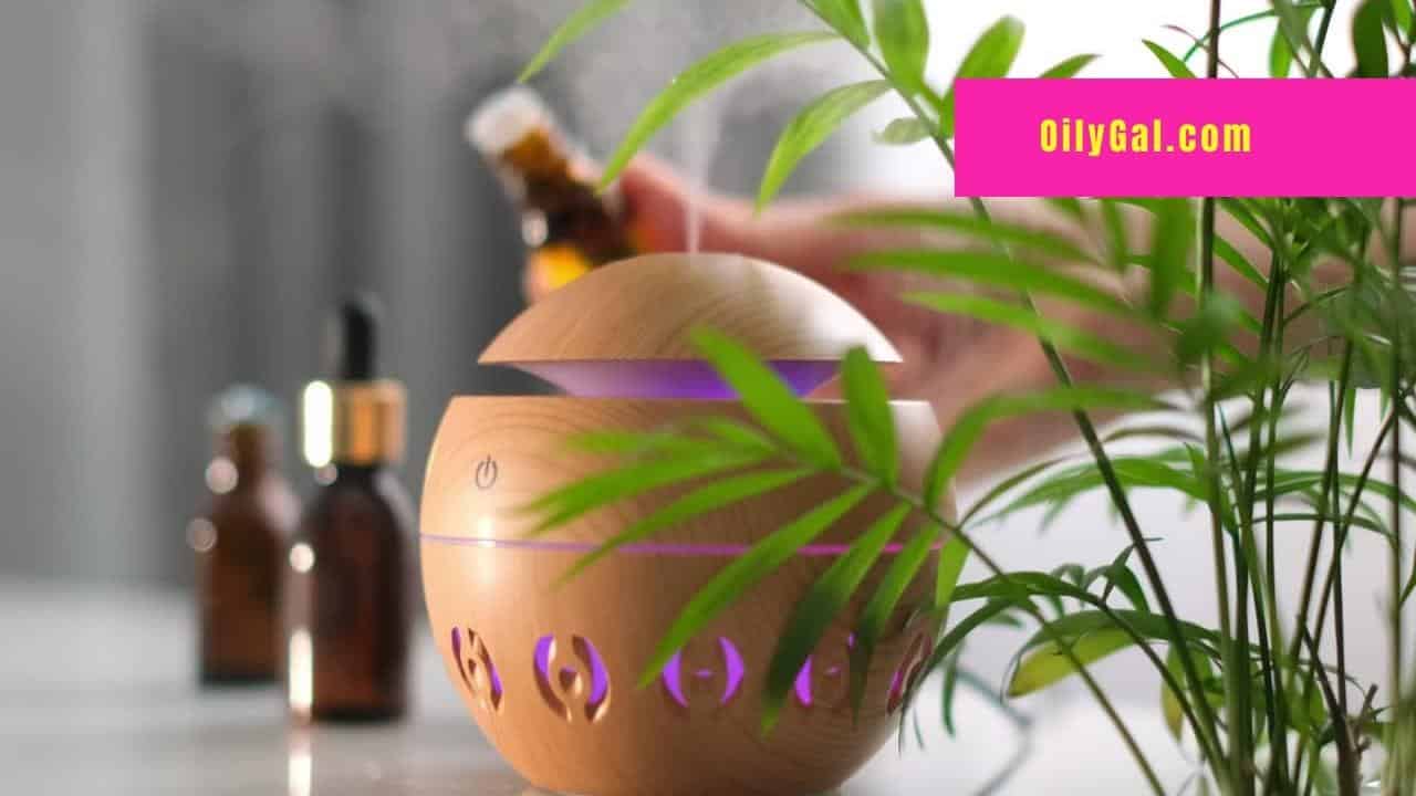 Northern Lights Black Spruce Essential Oil Blends Well With - Oily Gal